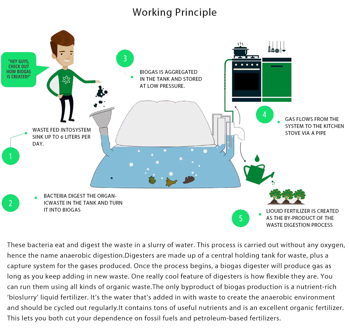 Biogas Bladder for Kitchen Residue, Food Waste, Pet Feces, Lawn Grass ...